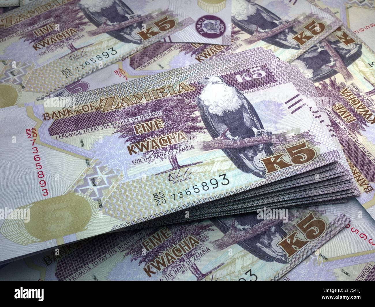 Money of Zambia. Kwacha bills. ZMW banknotes. 5 Bemba. Business ...