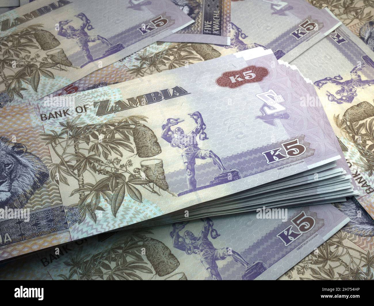 Money of Zambia. Kwacha bills. ZMW banknotes. 5 Bemba. Business ...