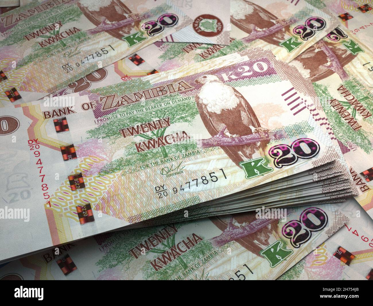 Money of Zambia. Kwacha bills. ZMW banknotes. 20 Bemba. Business ...