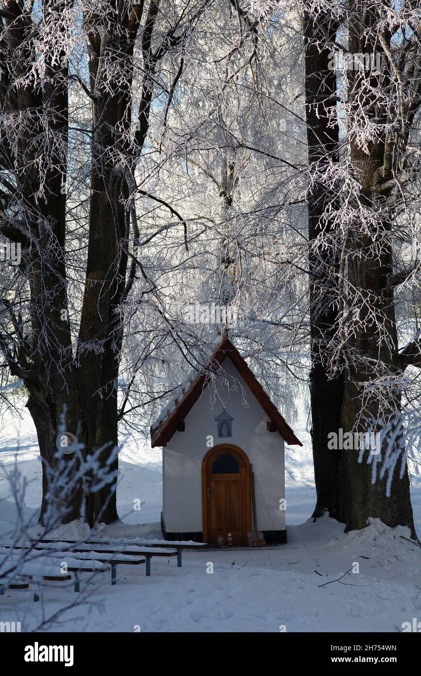 small snow-covered old chapel under two big old trees in winter, frozen ...