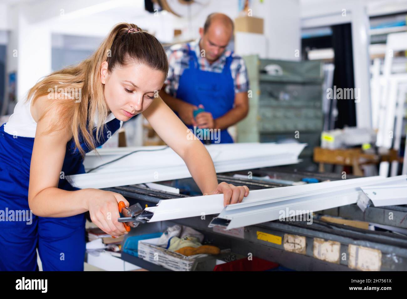 Female worker cutting metal-plastic profiles in workshop, using nippers ...