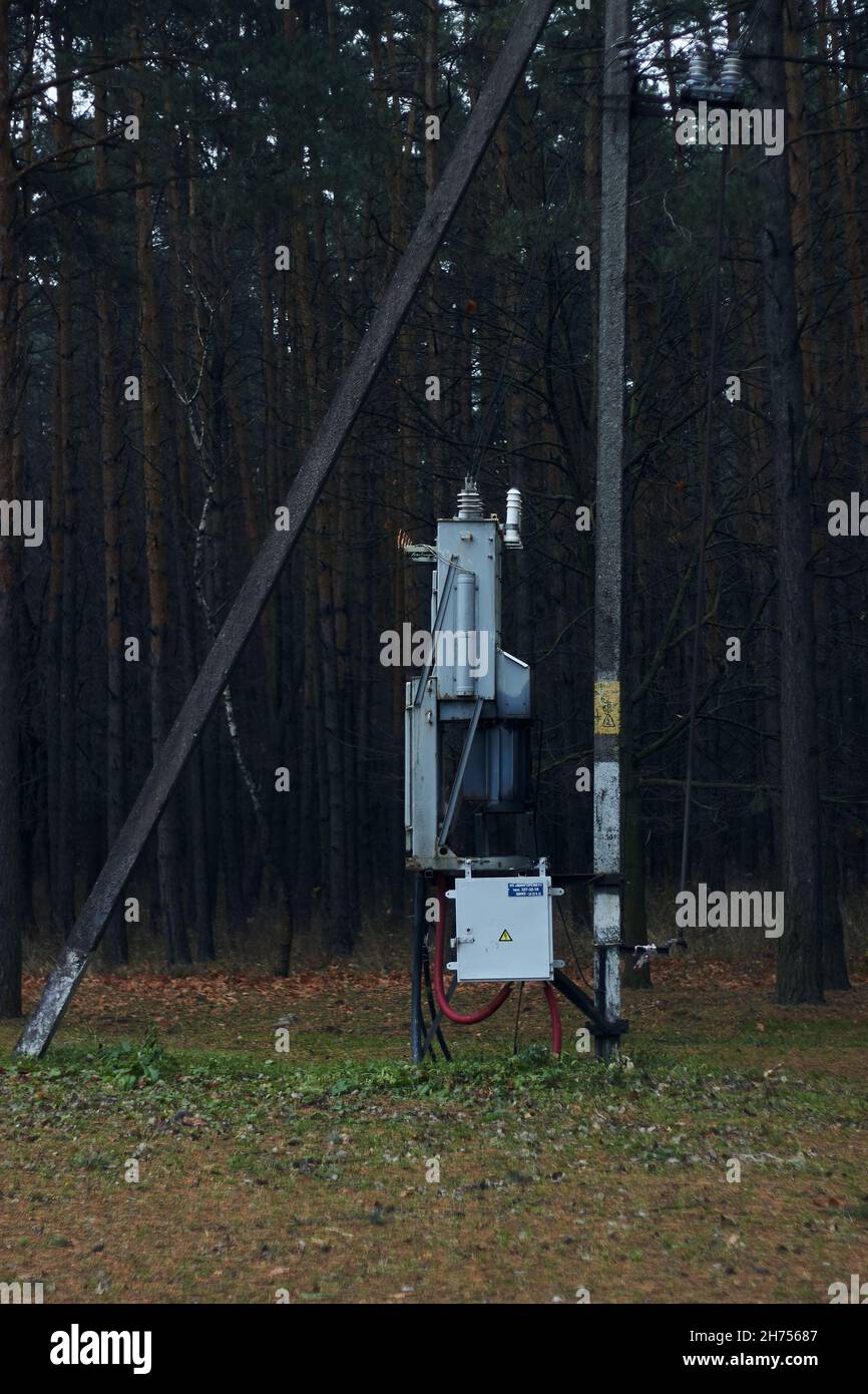 transformer electricity pole metal concrete pine autumn forest pinery ...
