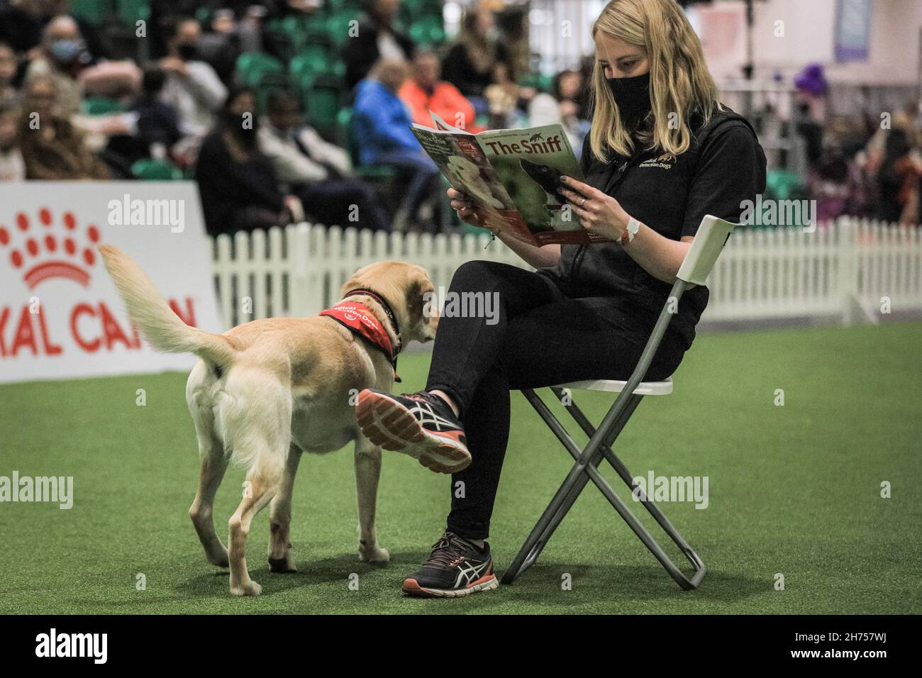 Excel Exhibition Centre, London, UK. 20th Nov, 2021. The Medical ...