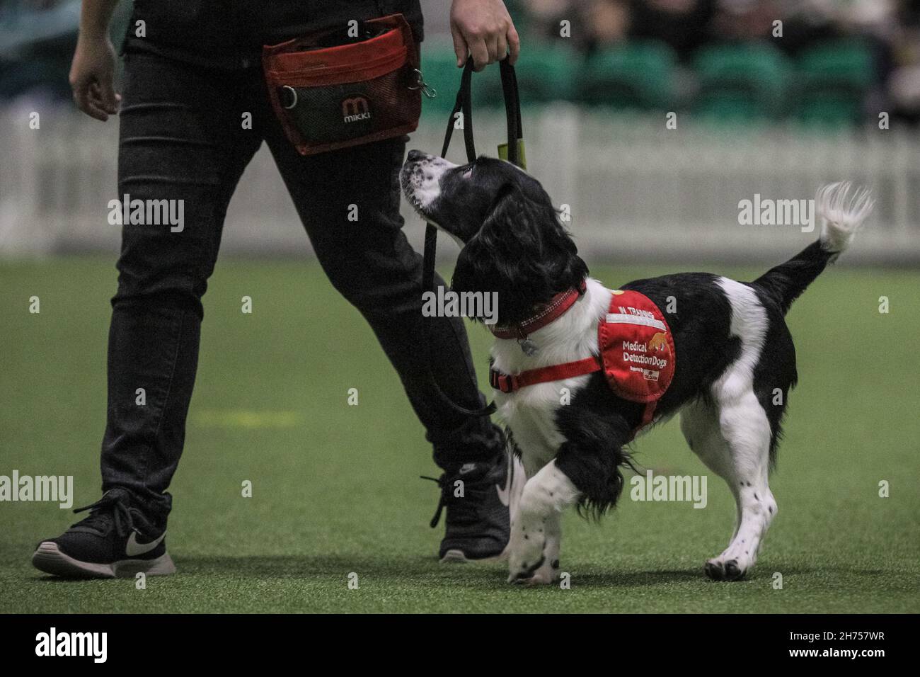 Excel Exhibition Centre, London, UK, 20th Nov 2021. The Medical ...