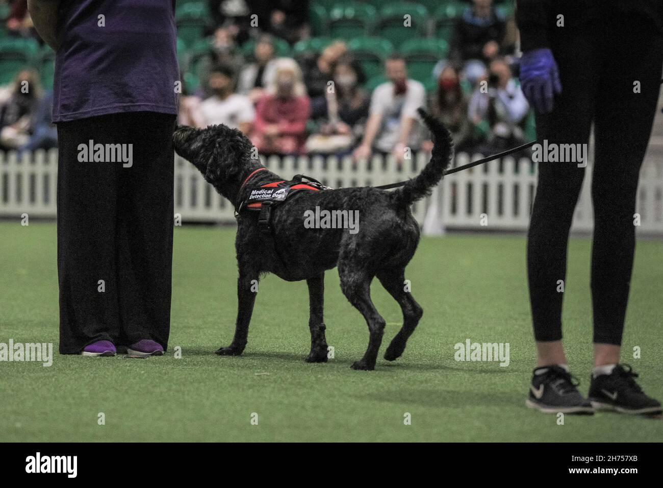Excel Exhibition Centre, London, UK, 20th Nov 2021. The Medical ...