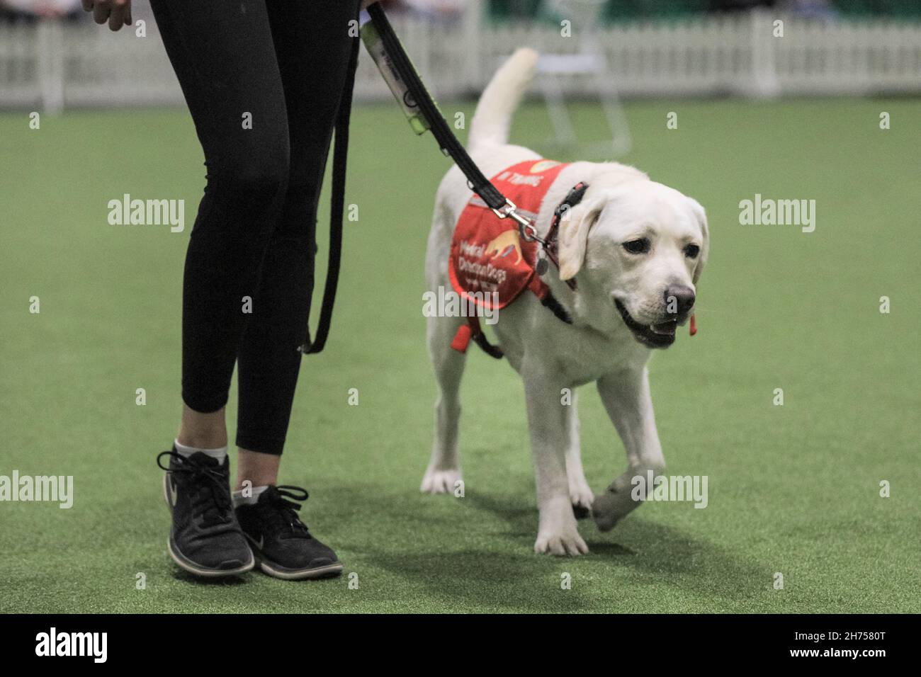 Excel Exhibition Centre, London, UK, 20th Nov 2021.The Medical ...