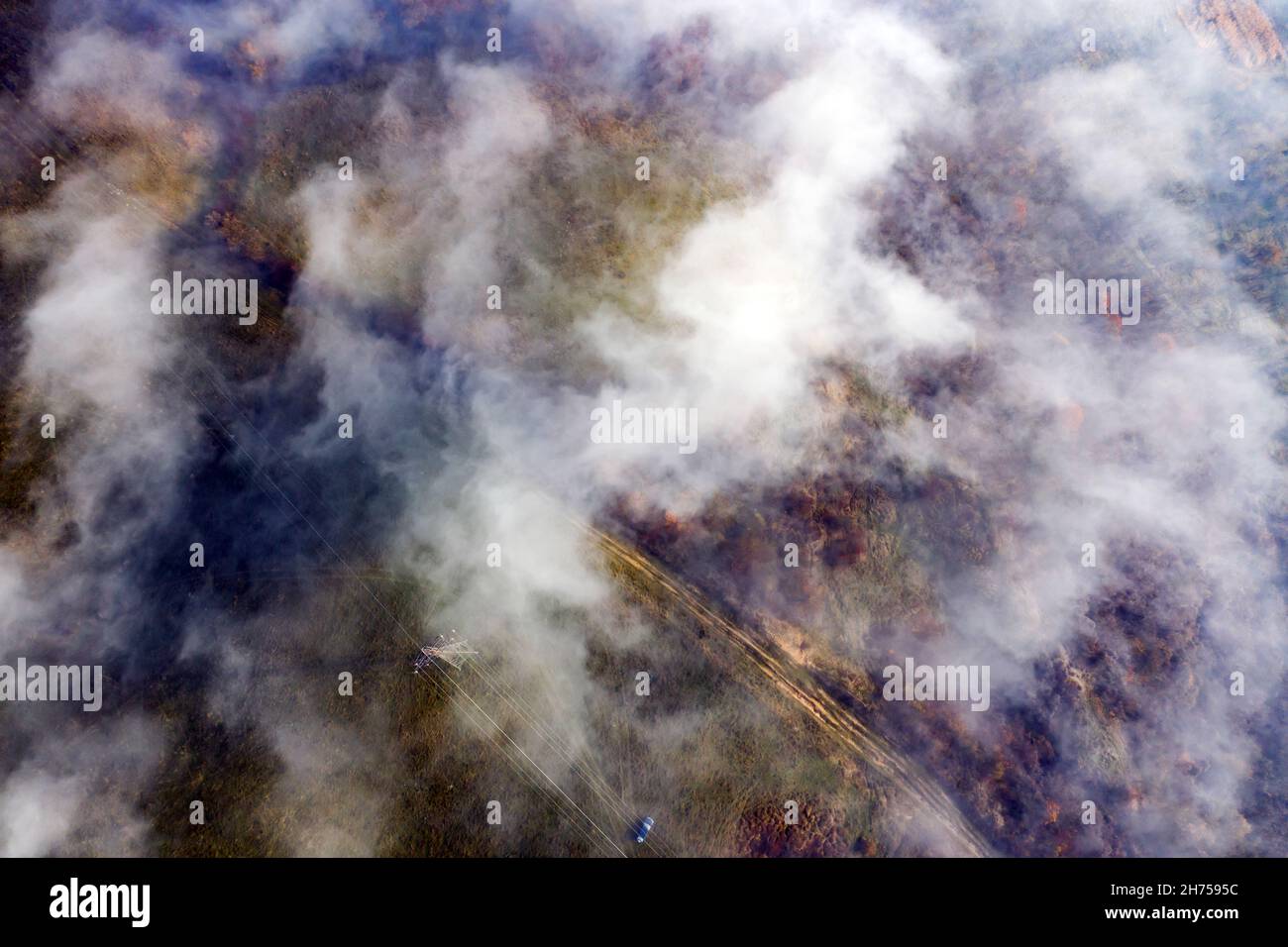 Thin fog above autumn hills-aerial, drone view Stock Photo - Alamy