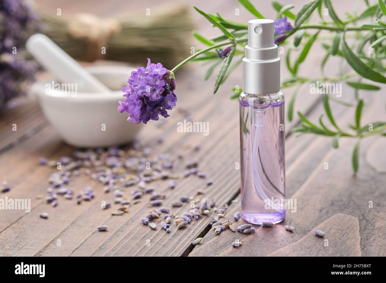 Spray bottle of lavender essential oil. Scented lavender water, serum ...