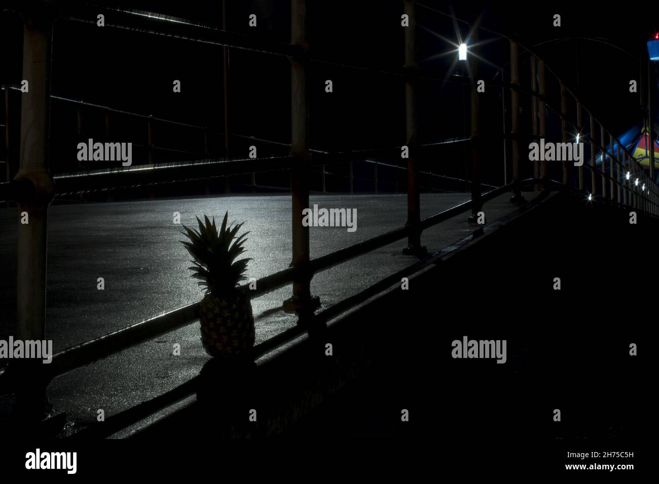 View of a pinapple (Ananas comosus) on a bridge under the lights at ...
