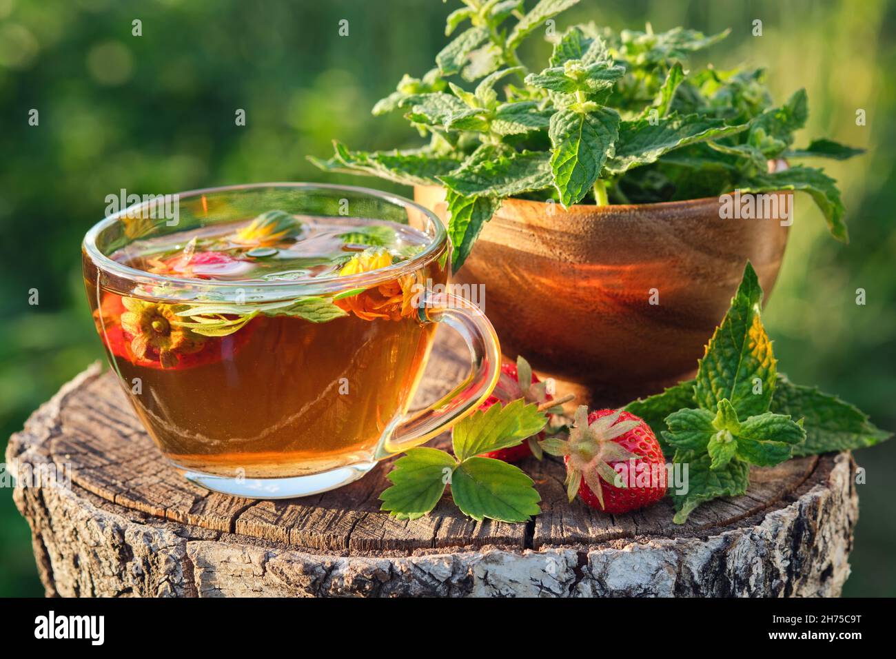 Herbs and fruits hi-res stock photography and images - Alamy