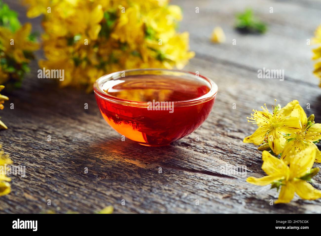 Hypericum perforatum oil hi-res stock photography and images - Alamy
