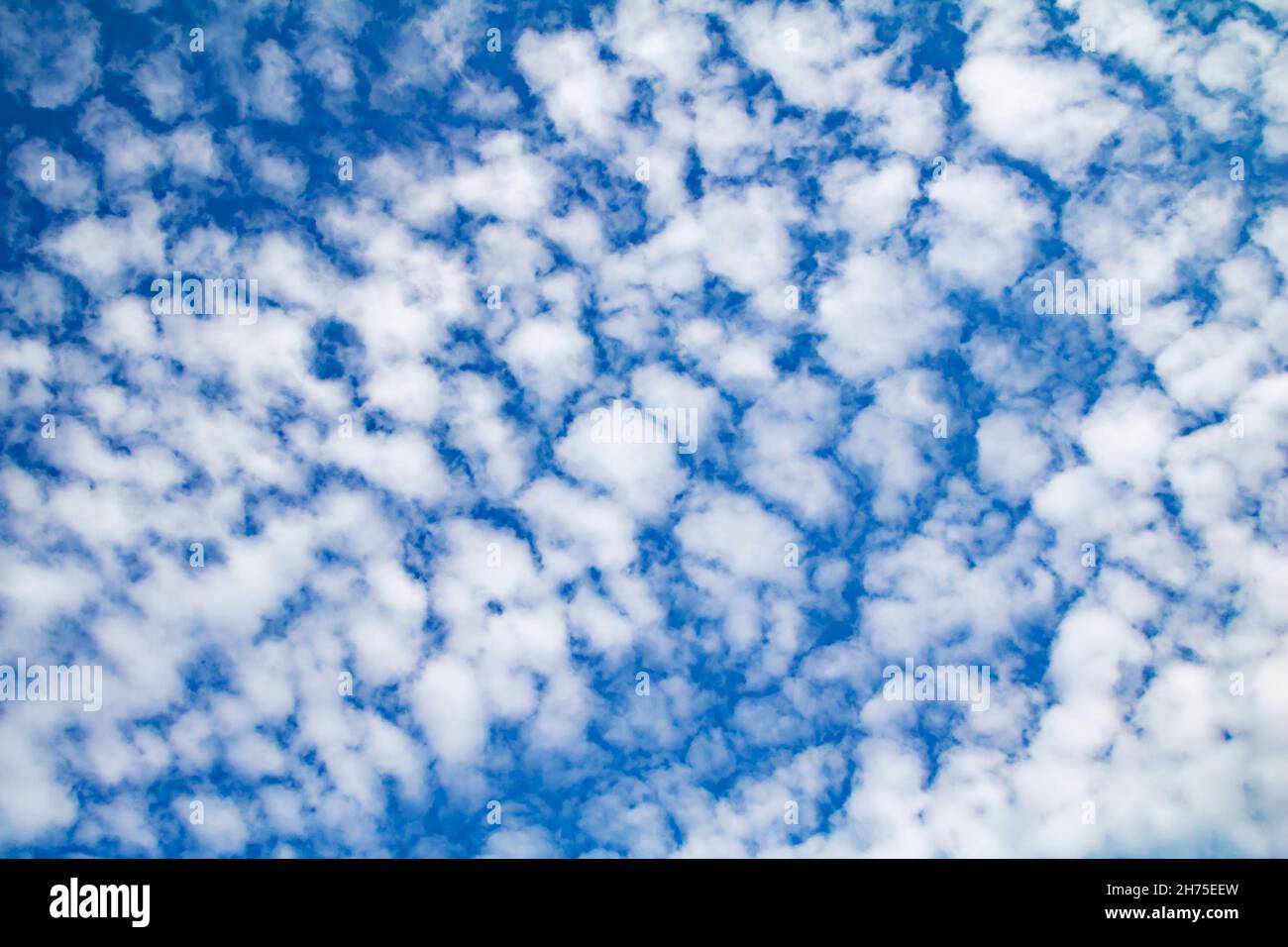 White cloud texture. Air material backdrop. Sky effect pattern ...