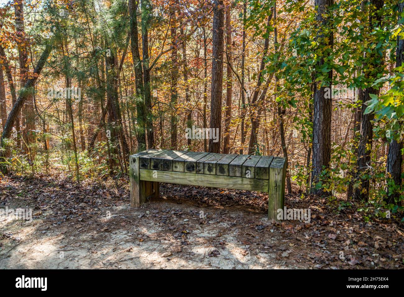 A rustic wooden sitting bench along side the trail in the woodlands in ...