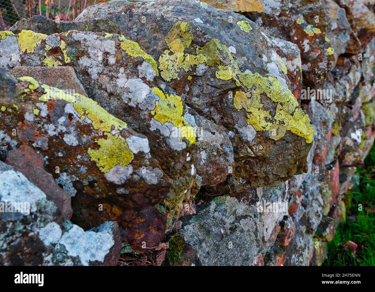Lichens on sandstone hi-res stock photography and images - Alamy