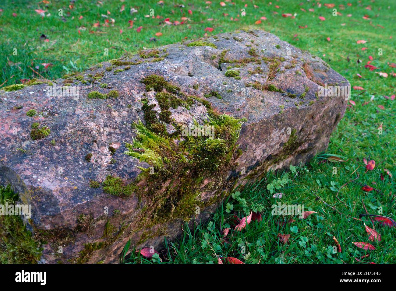 Mosses on stone hi-res stock photography and images - Alamy