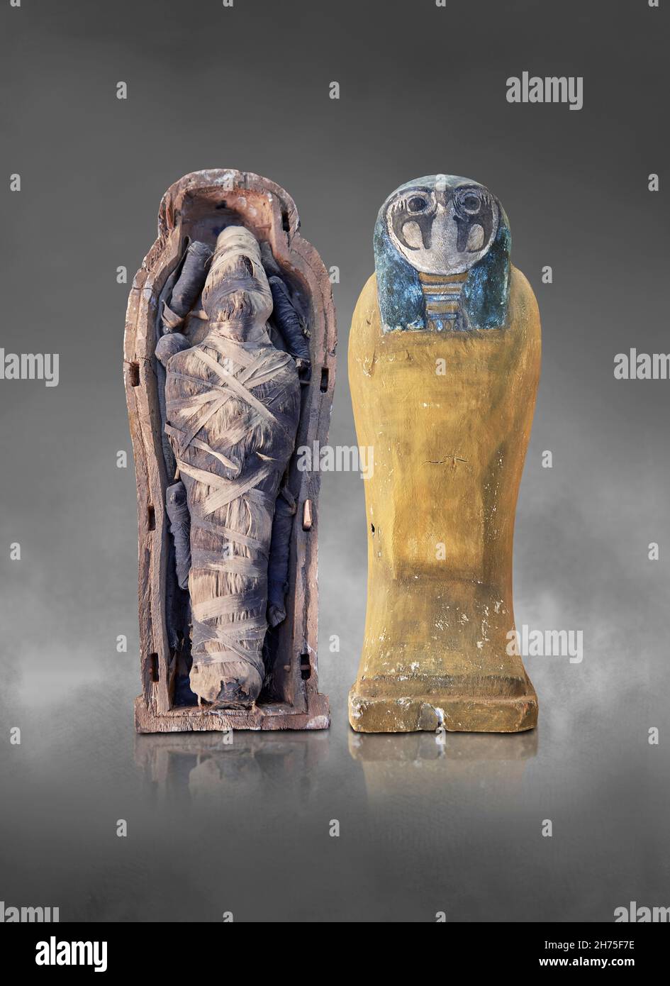 Roman Egyptian falcon mummy, circa 1-2nd cent AD., Tehneh-Achoris ...