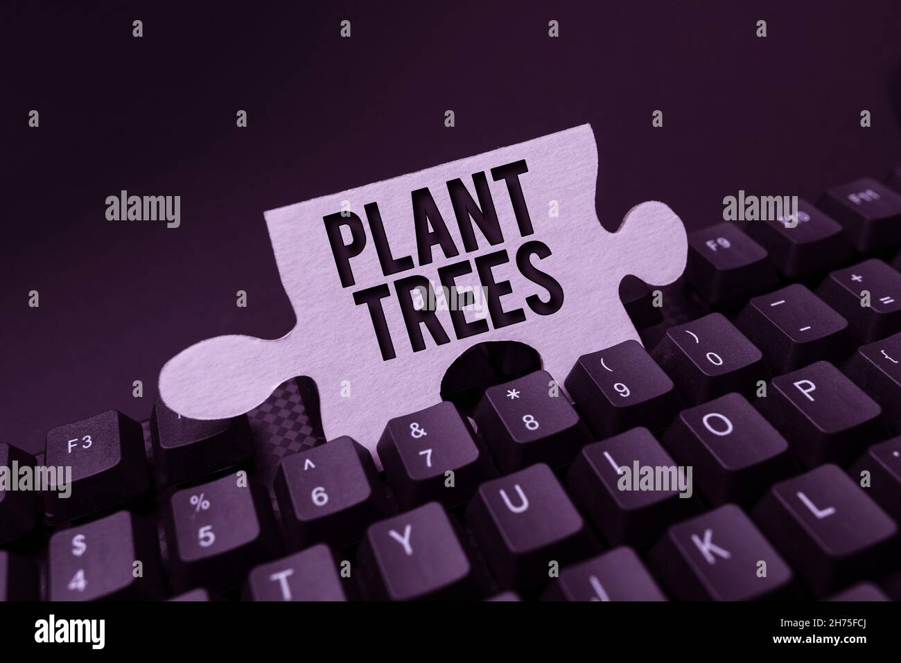 Text caption presenting Plant Trees. Conceptual photo process of ...