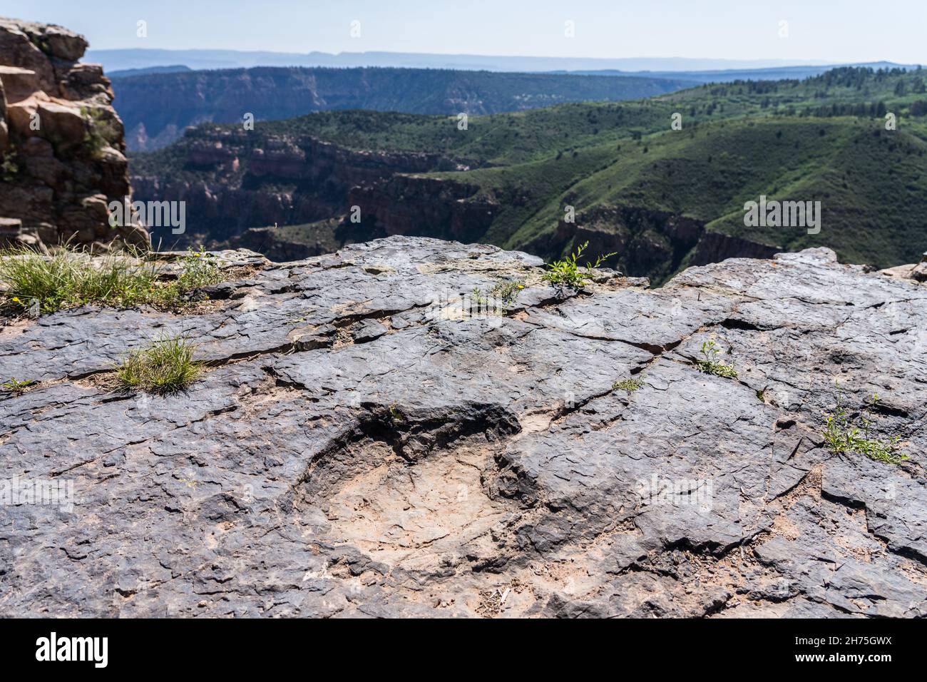 Bull canyon dinosaur track trail hi-res stock photography and images ...