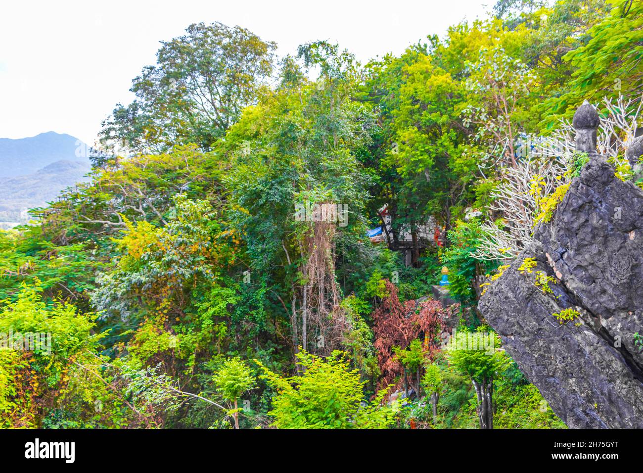 Laos mountain forests hi-res stock photography and images - Alamy