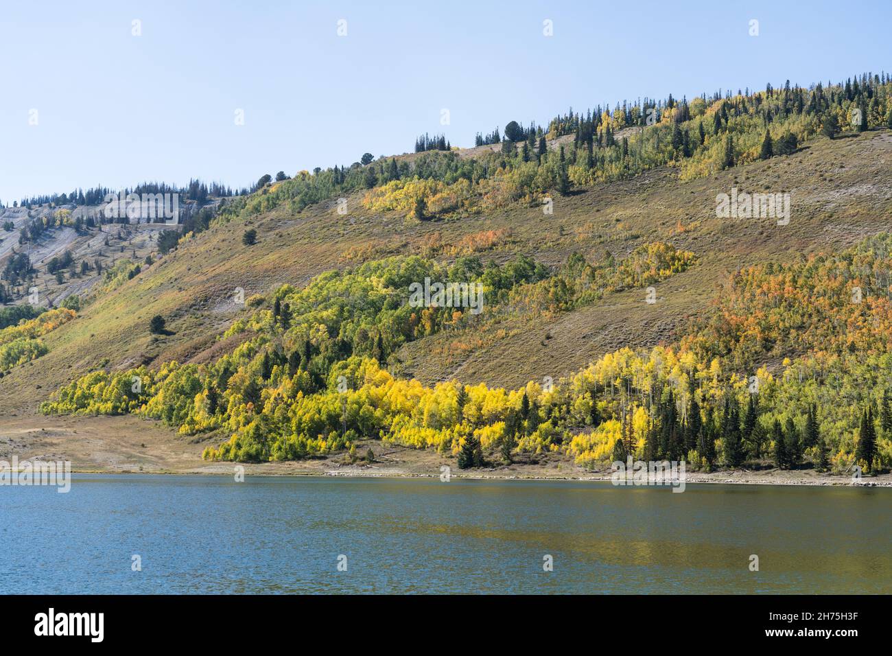 Ferron Reservoir is an alpine lake in the Manti-La Sal Forest in the ...