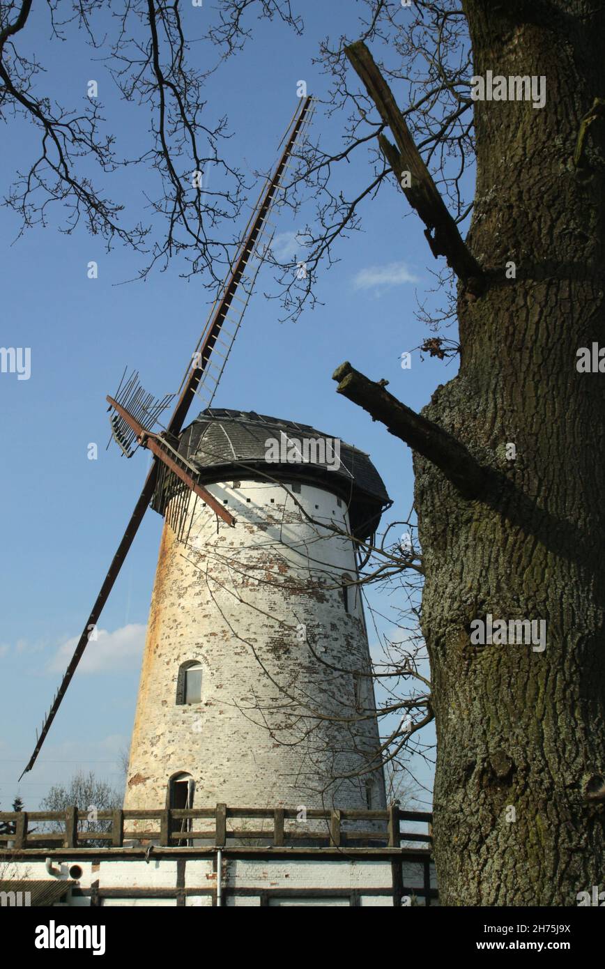 dilapidated, neglected, abandoned old windmill (1920 Stock Photo - Alamy