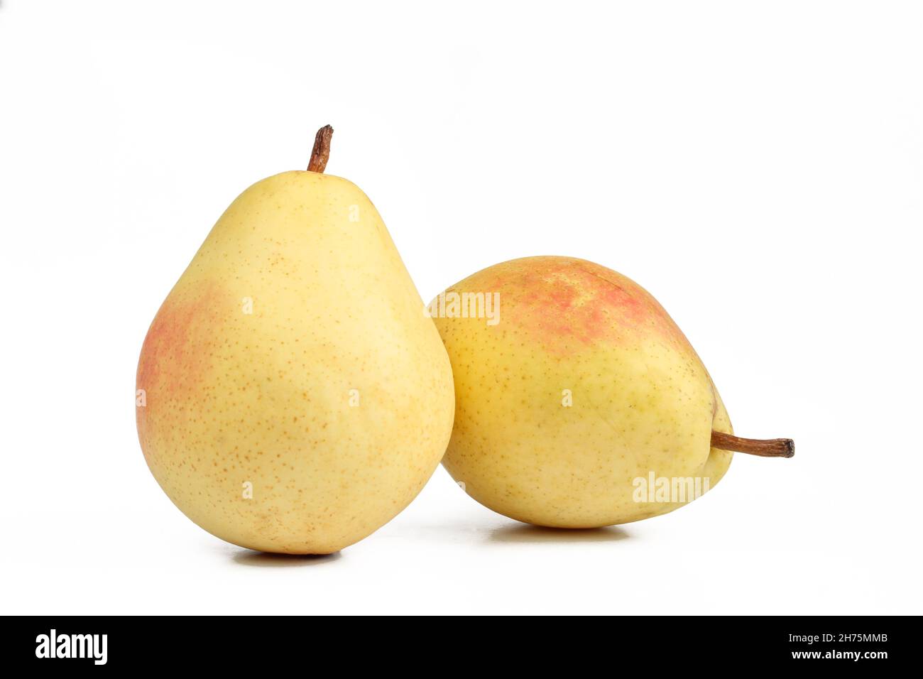 Pair of organic pears isolated on white background Stock Photo - Alamy