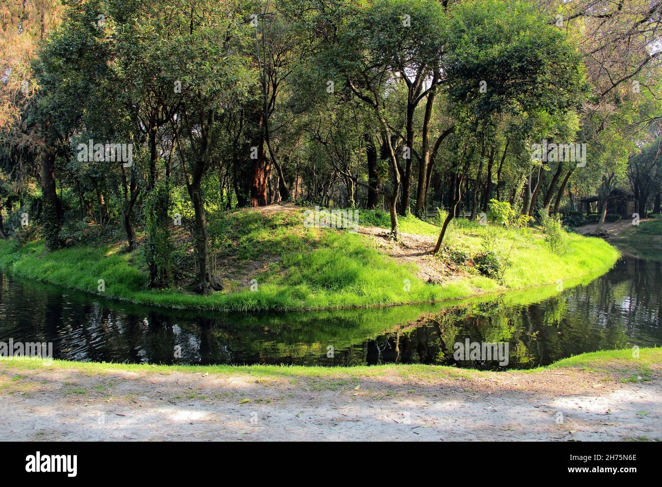 Small pond in the Park Chapultepec in Mexico city Stock Photo - Alamy
