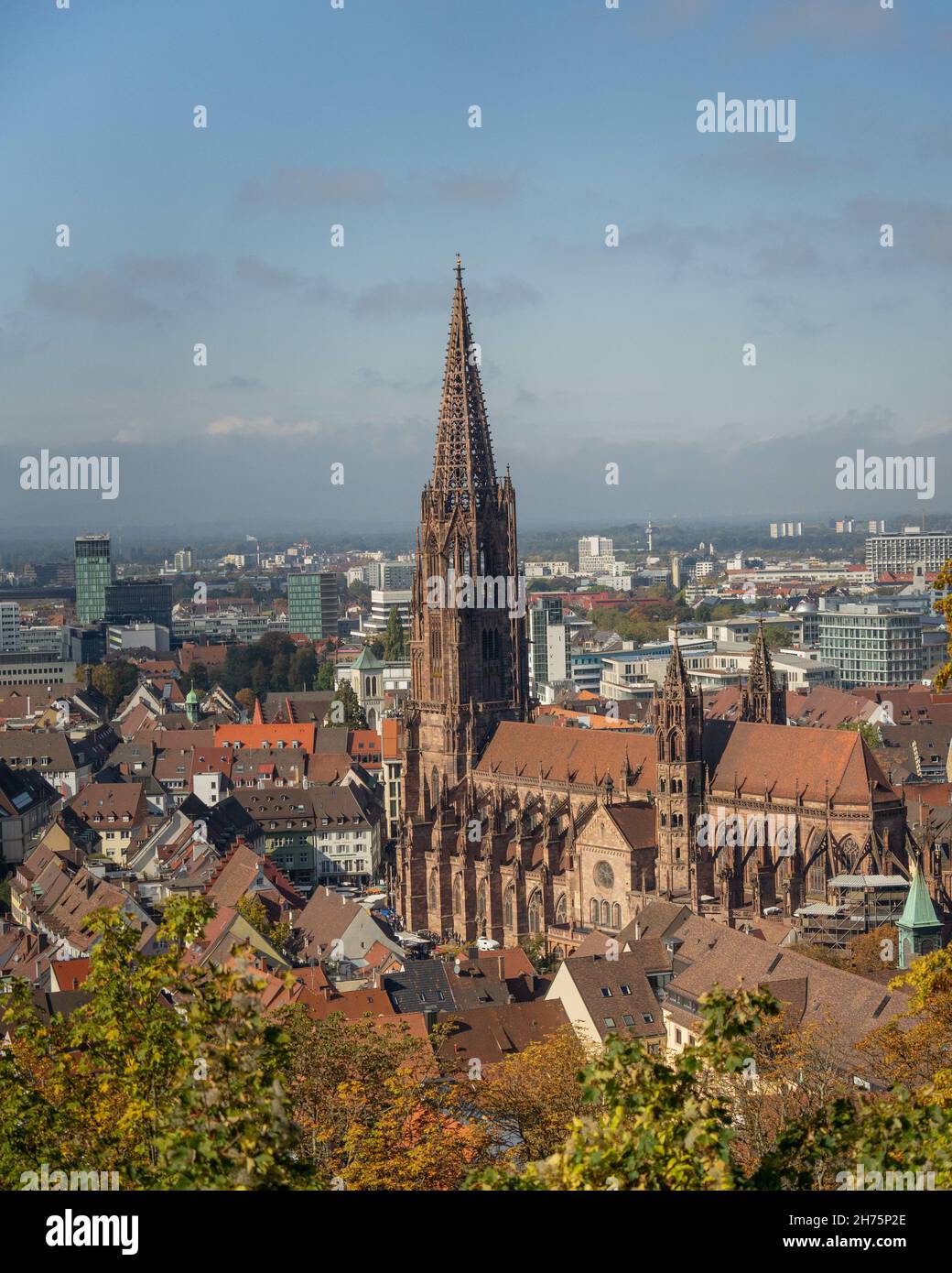Old famous catholic cathedral of Freiburg Minster with gothic ...