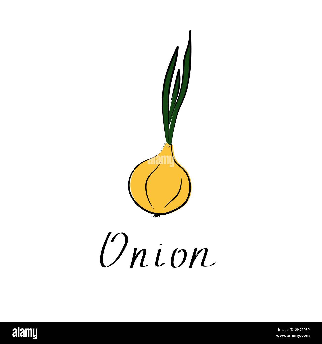 Onion sign. Fresh Vegetable isolated icon. Onion for farm market ...