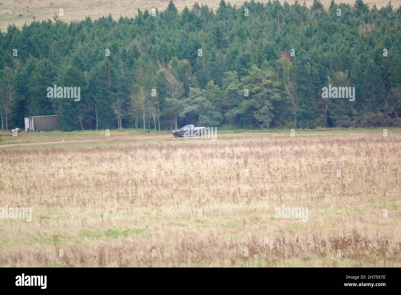 metal shipping container hidden amongst woodland and protected by ...