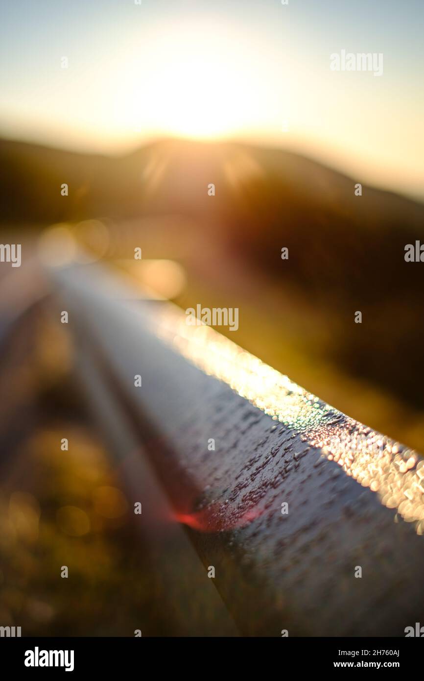 Moist dew hi-res stock photography and images - Alamy