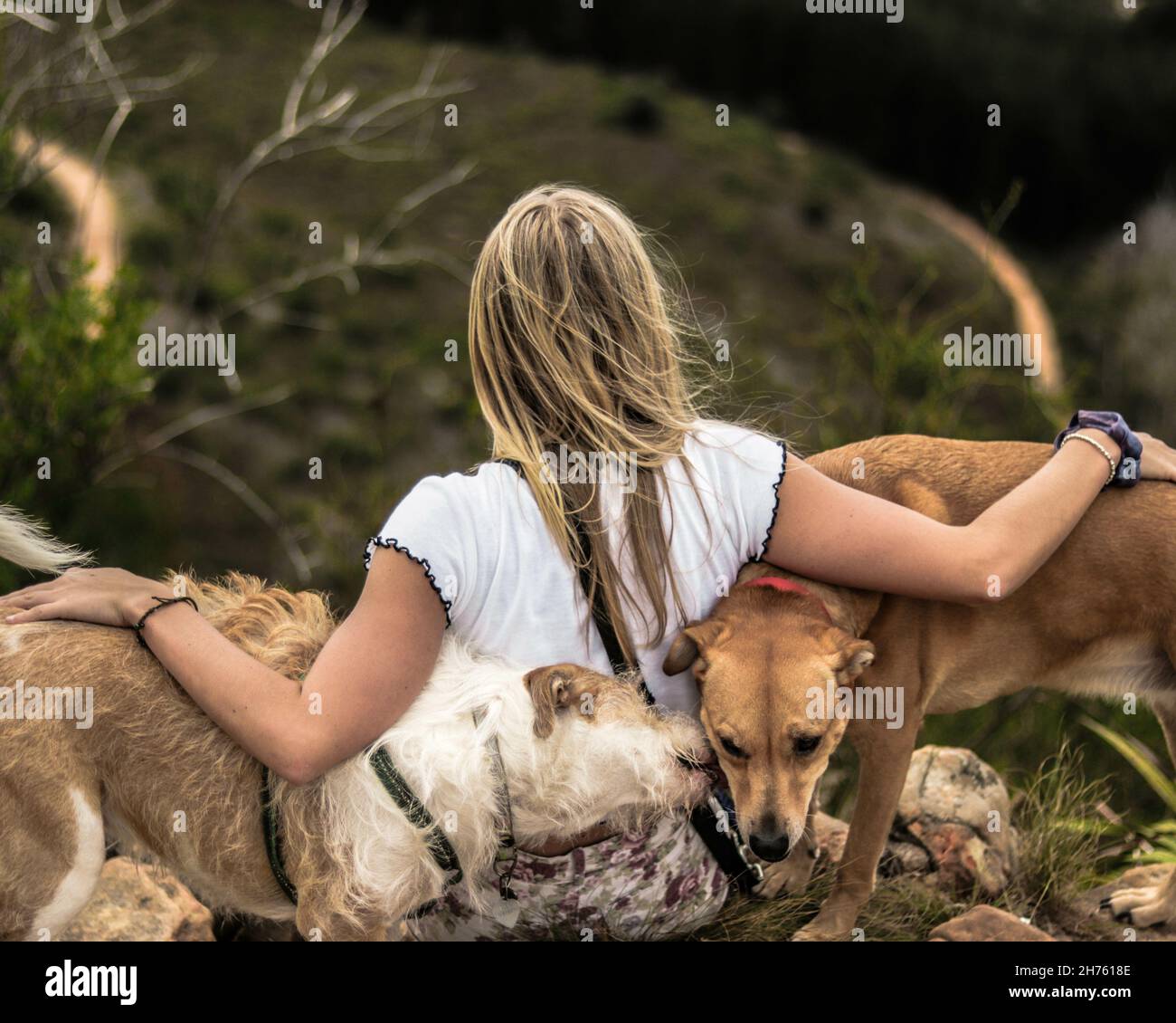 Back view of a blonde female hugging her dogs while sitting outdoors ...