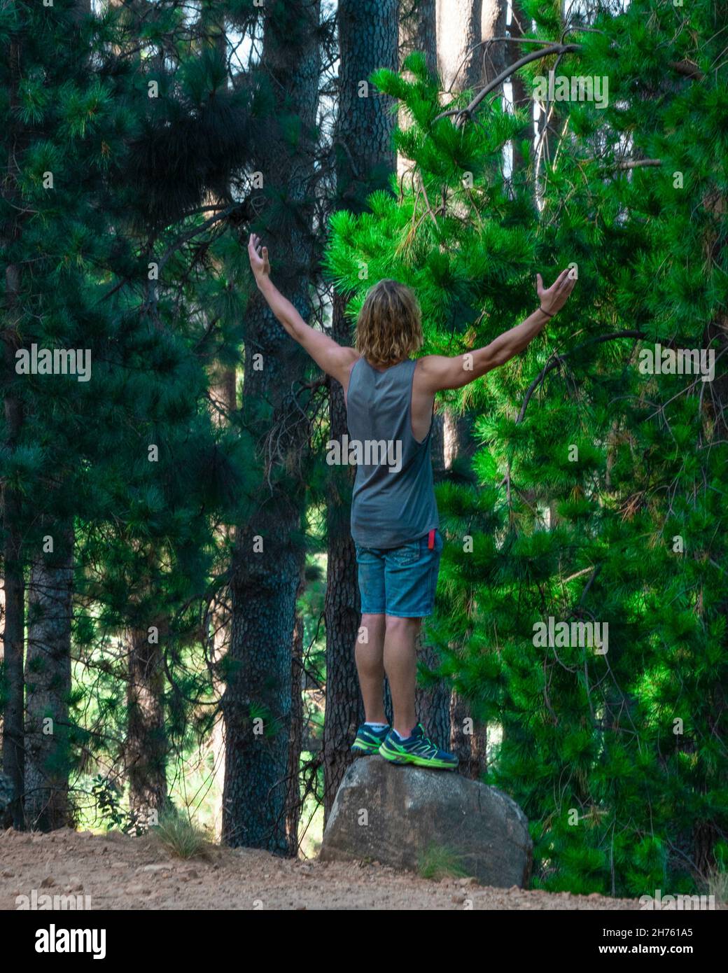 Vertical back view of a blonde male standing on a rock in a forest with ...