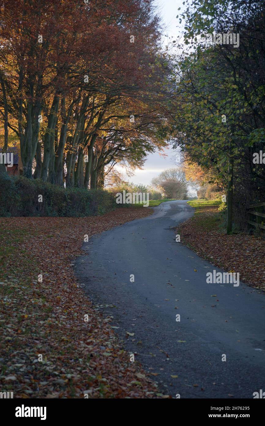 Yorkshire Wolds Autumn High Resolution Stock Photography and Images - Alamy