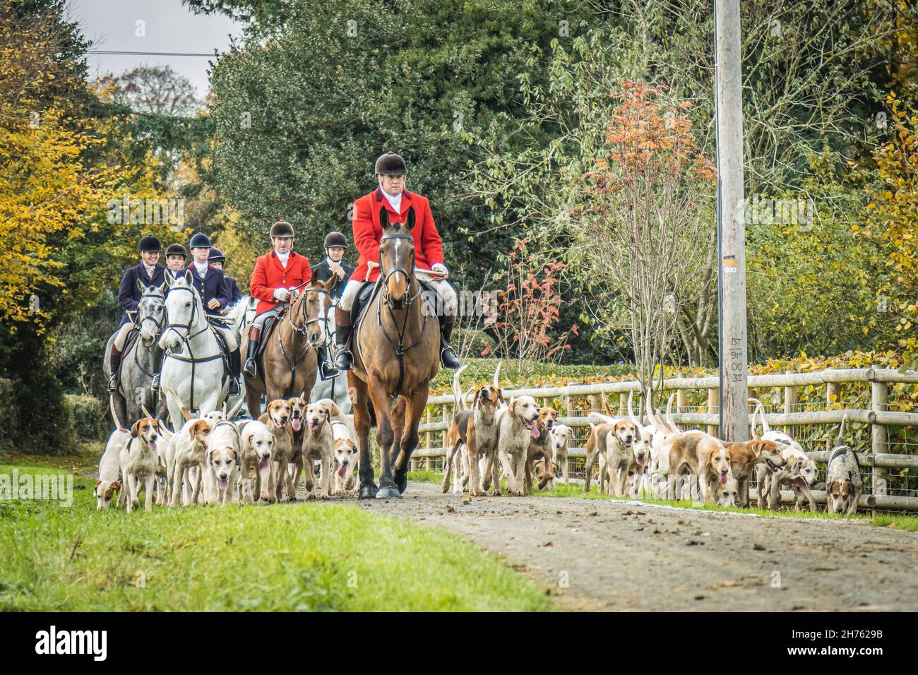 Fox run trail hi-res stock photography and images - Alamy