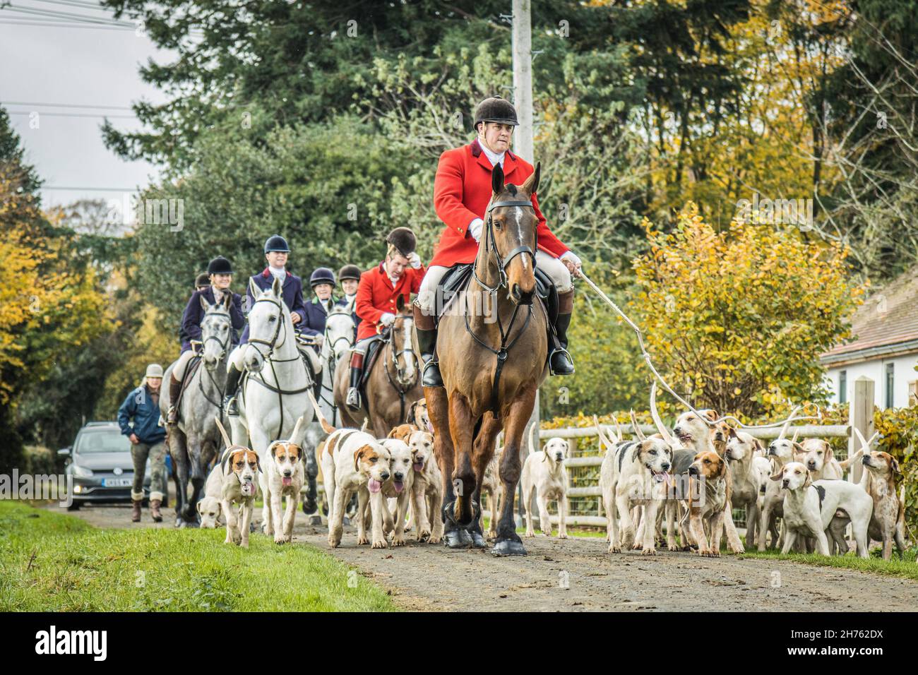 Fox run trail hi-res stock photography and images - Alamy