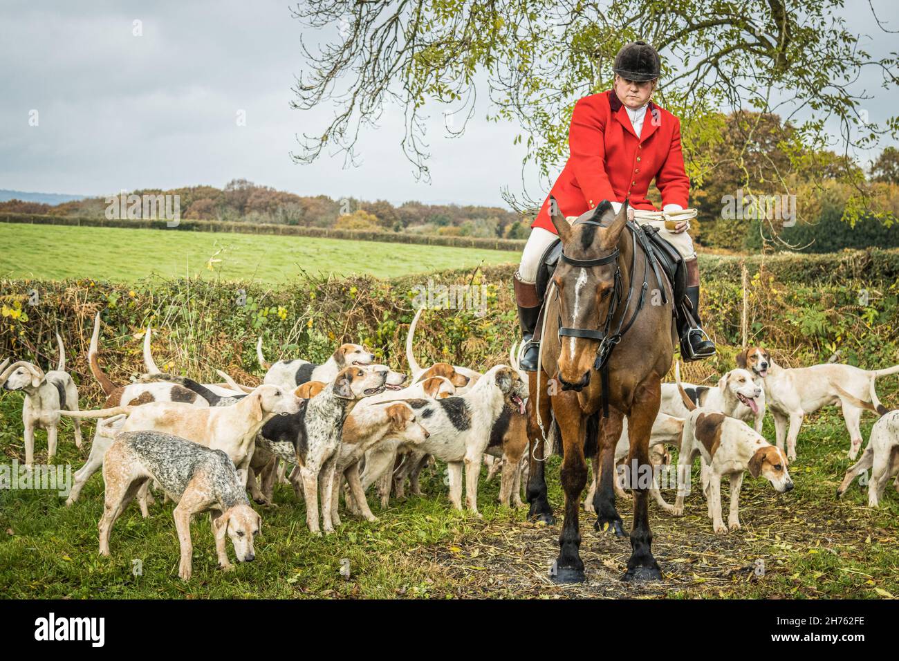 Fox run trail hi-res stock photography and images - Alamy