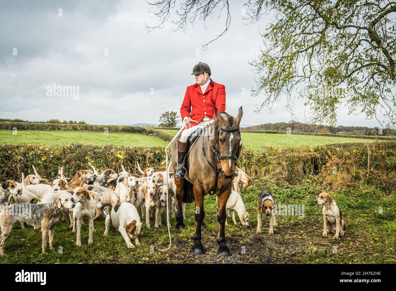 English Trail Hunting Pack Stock Photo - Alamy