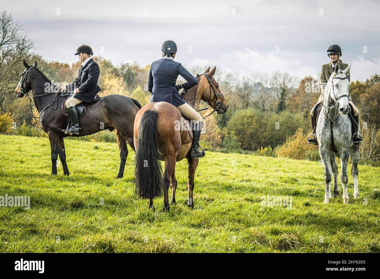 Fox run trail hi-res stock photography and images - Alamy