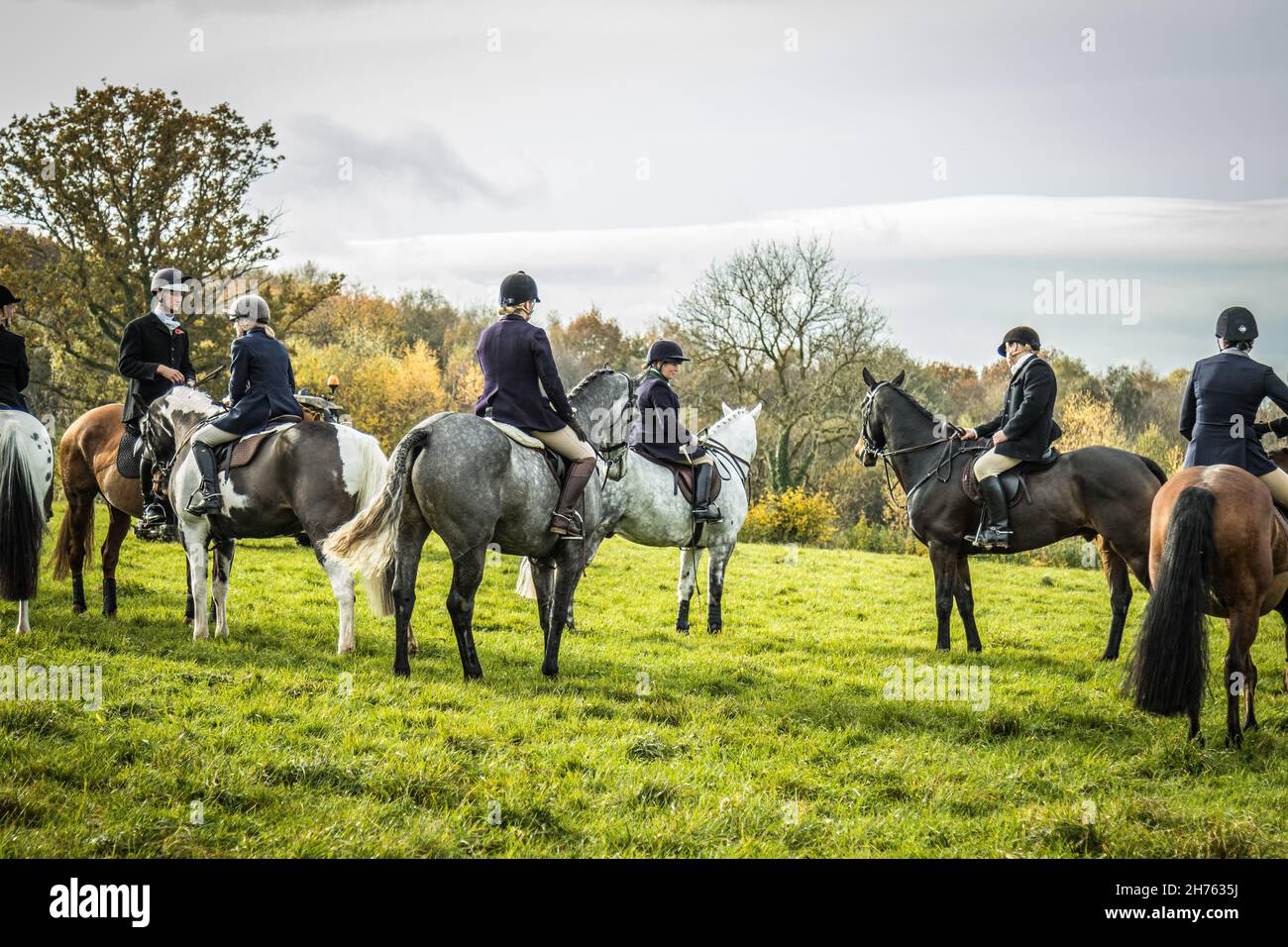 Fox run trail hi-res stock photography and images - Alamy