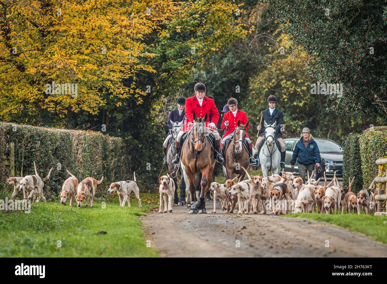 Fox run trail hi-res stock photography and images - Alamy