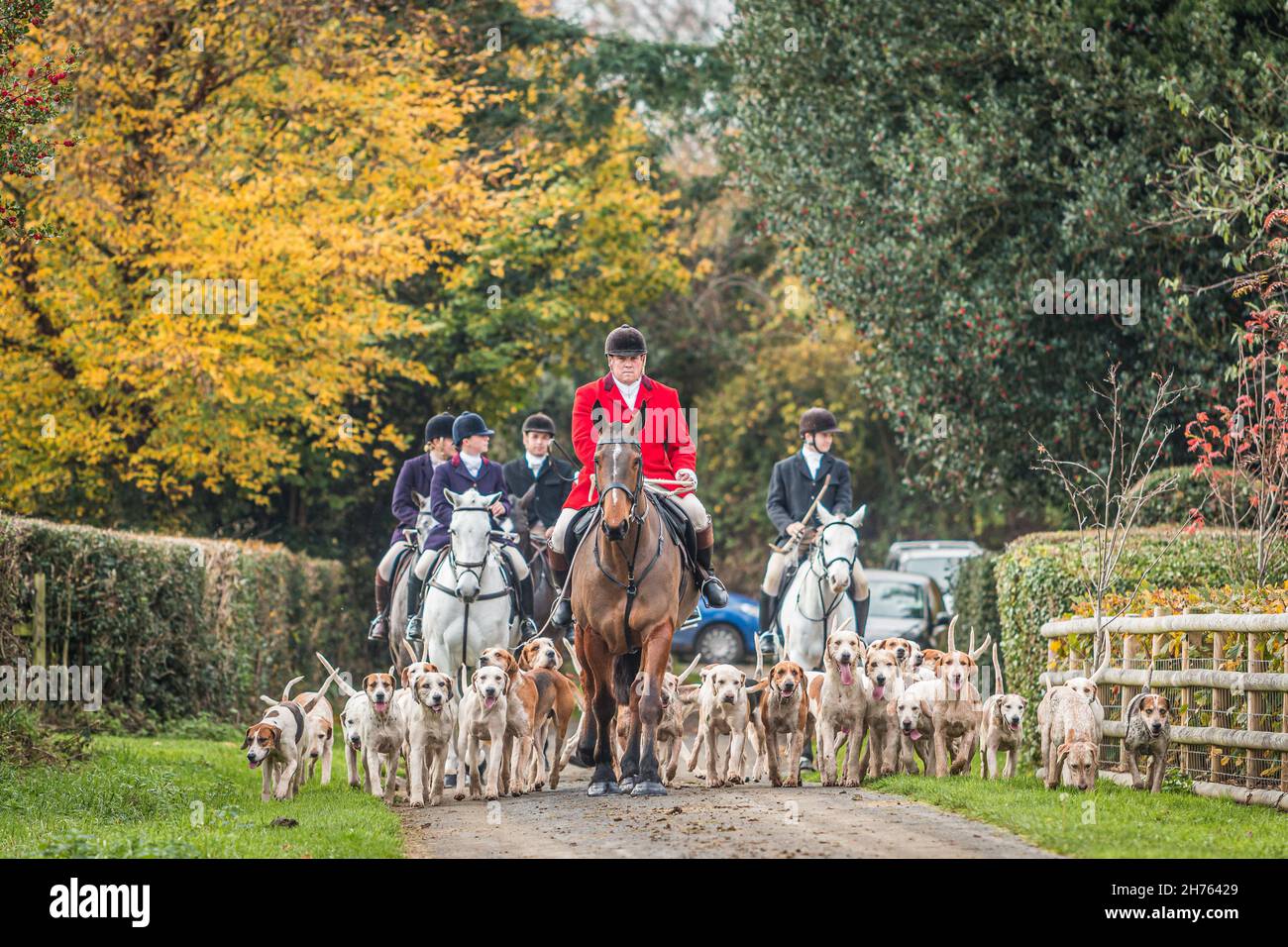 Fox run trail hi-res stock photography and images - Alamy
