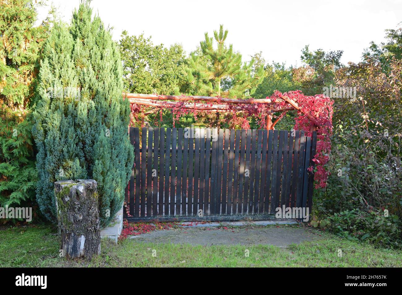 Vine on gate hi-res stock photography and images - Alamy