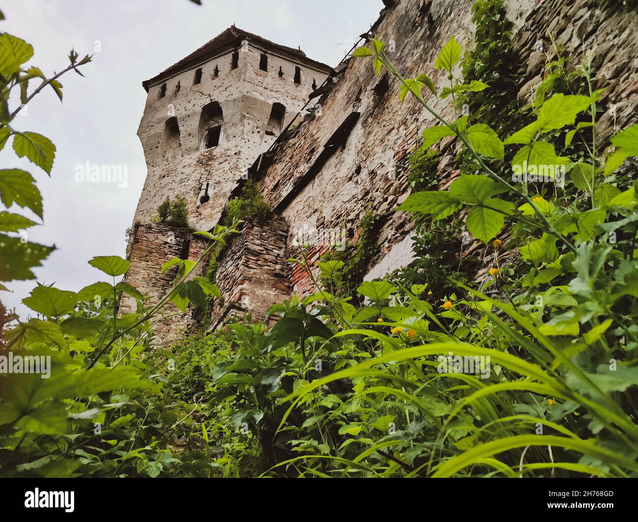 Holes bottom hi-res stock photography and images - Alamy