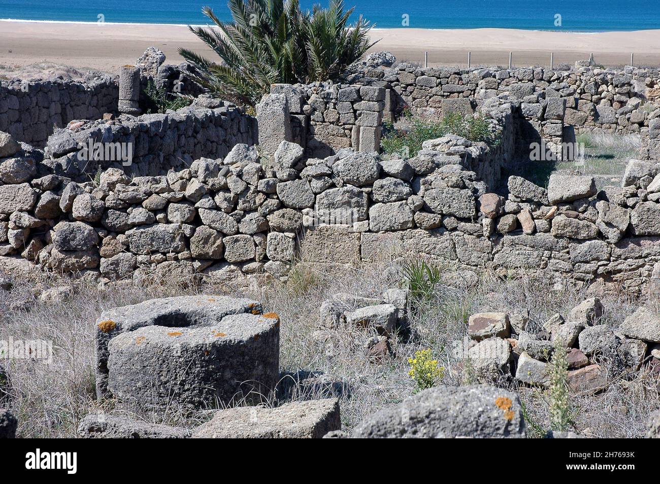 The archaeological site of the Roman Cotta city in northern Morocco ...