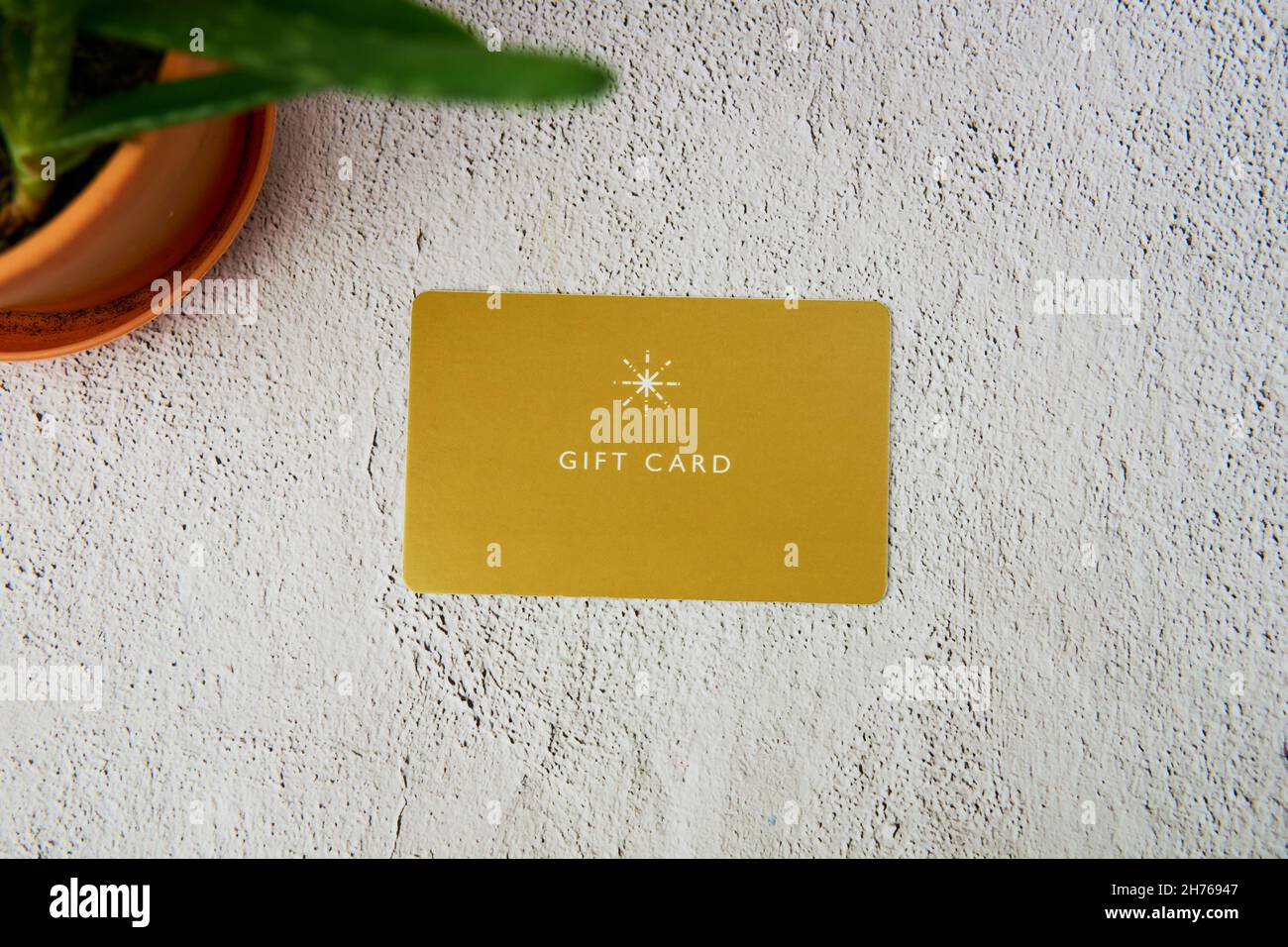 Yellow gift card with Aloe on a grey background Stock Photo - Alamy