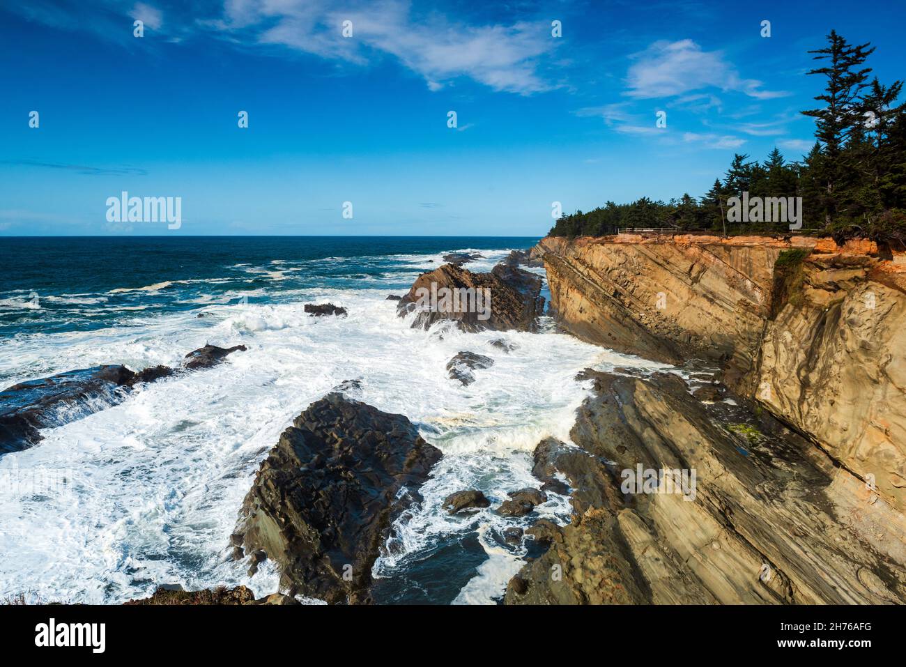 Shore acres state park Stock Photo - Alamy