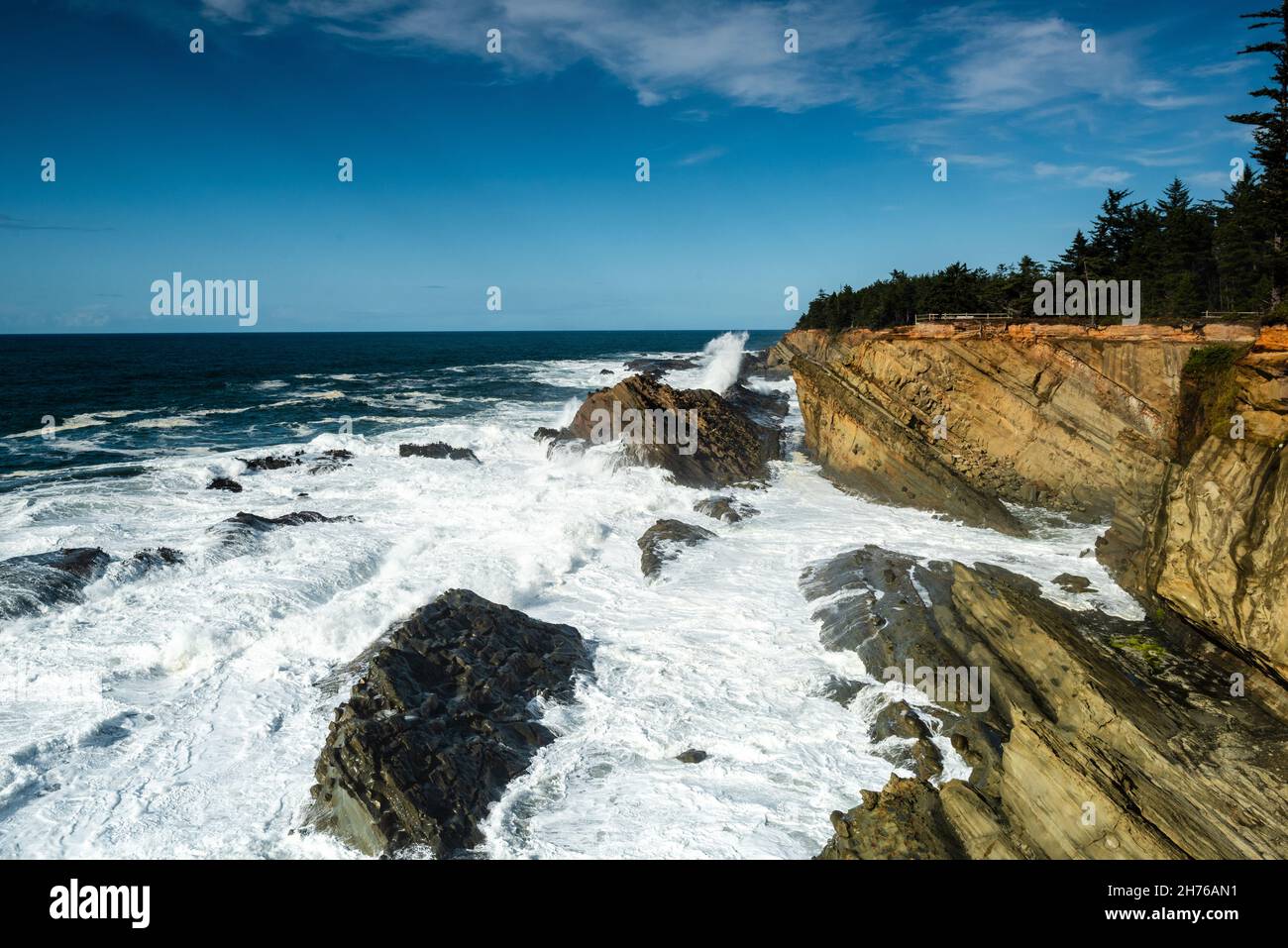Shore acres state park hi-res stock photography and images - Alamy
