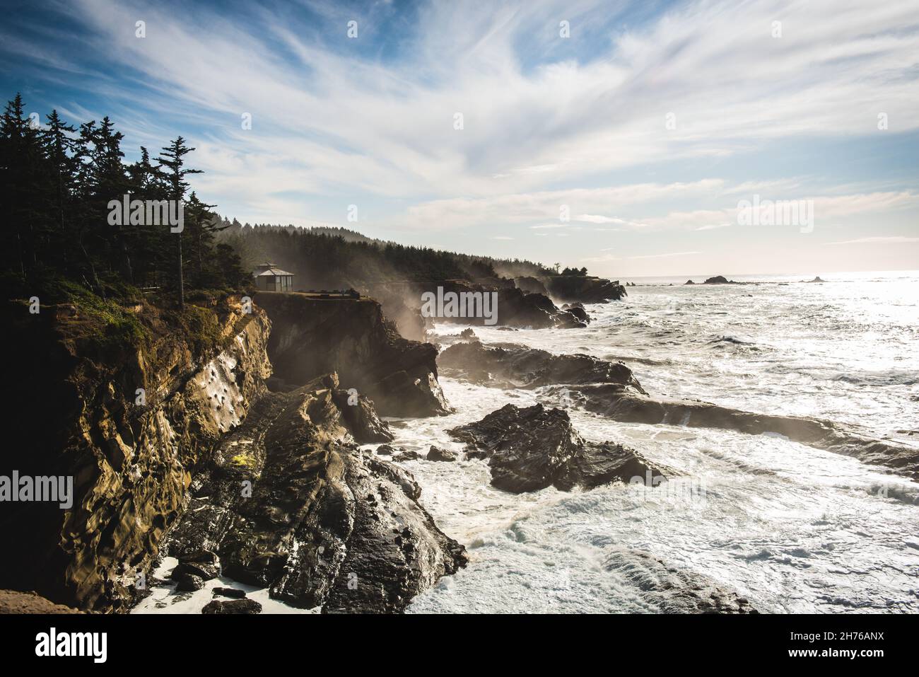 Shore acres state park hi-res stock photography and images - Alamy