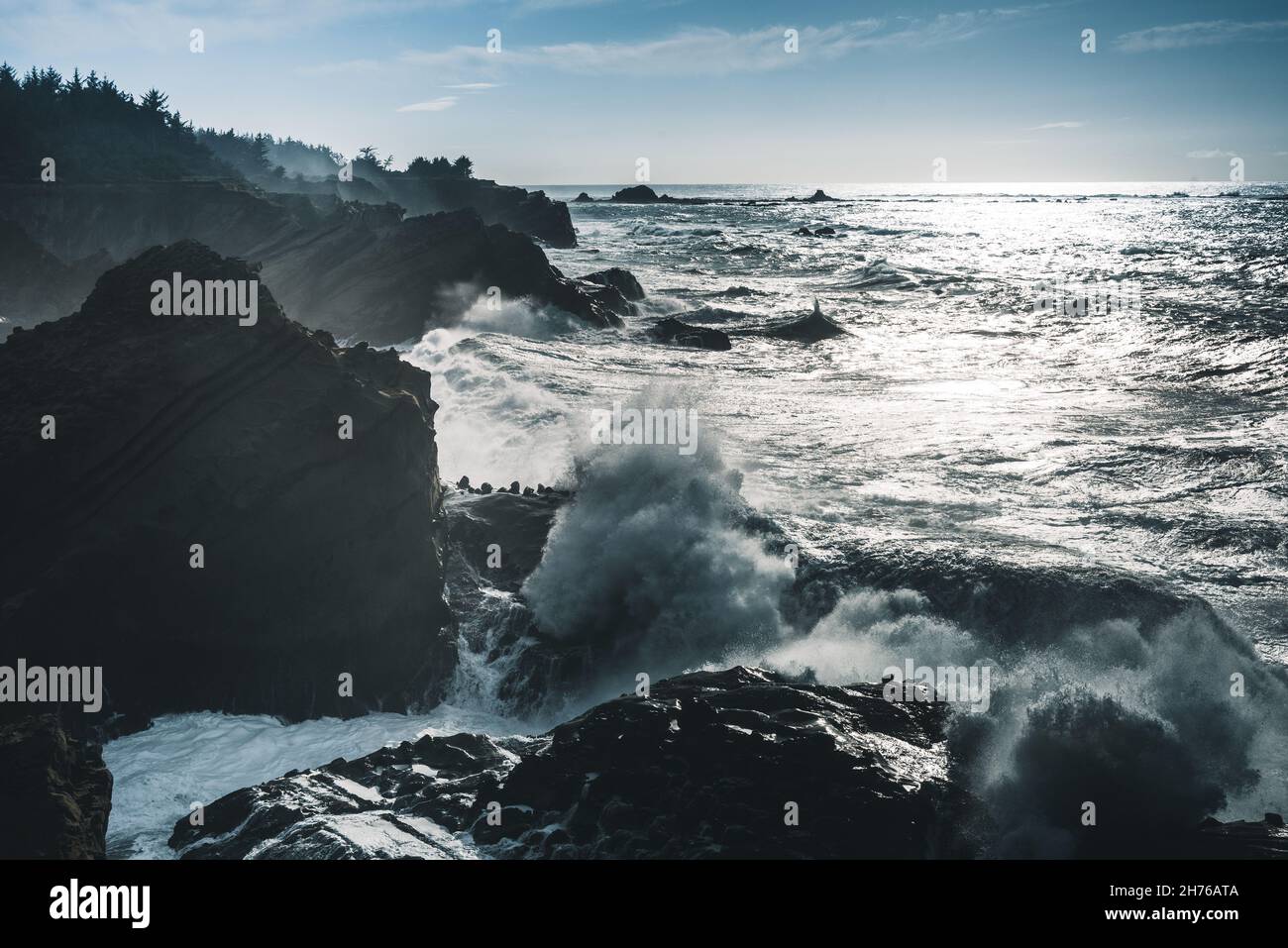 Shore acres state park storm hi-res stock photography and images - Alamy